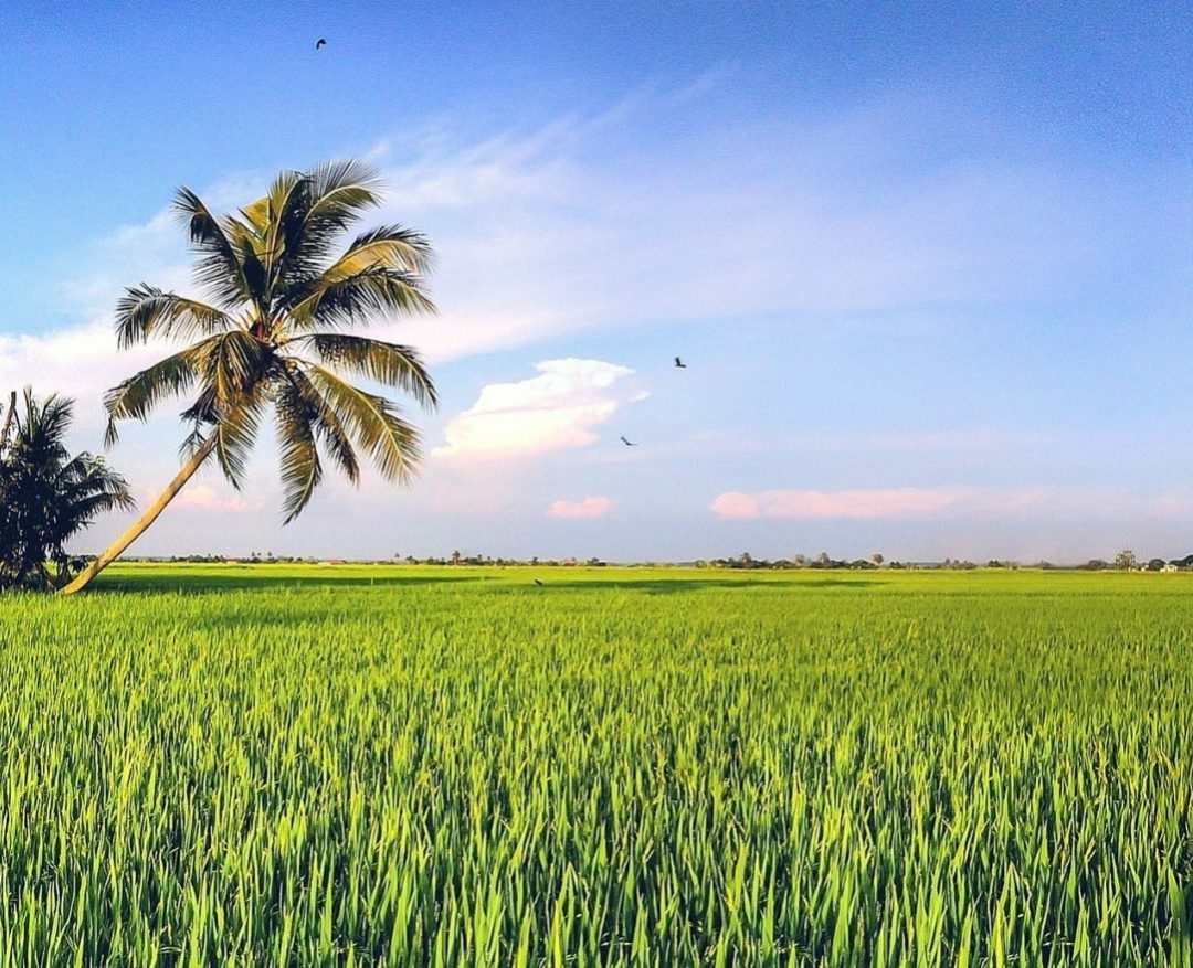 Embracing the Goan Life - Tridentia - Goa's Renowned Real Estate Developer